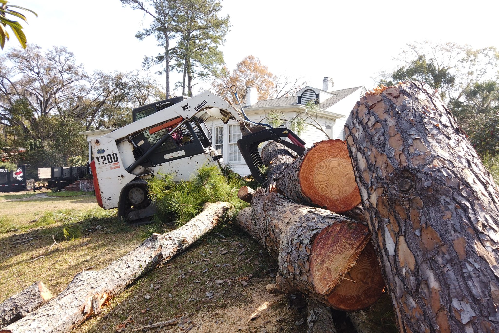 Quality Tree Experts – Tree Services, Tree Removal & Trimming