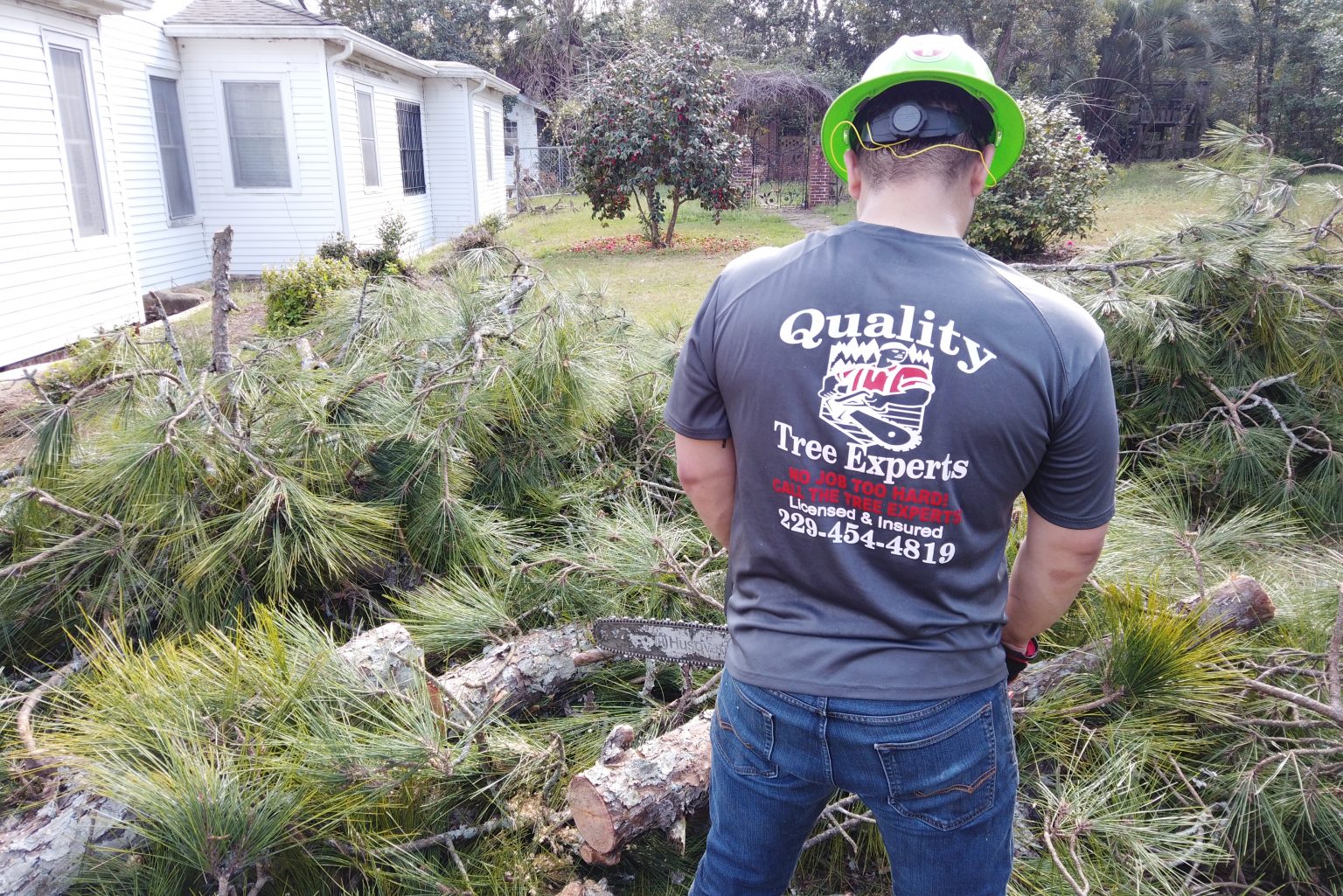 Quality Tree Experts – Tree Services, Tree Removal & Trimming